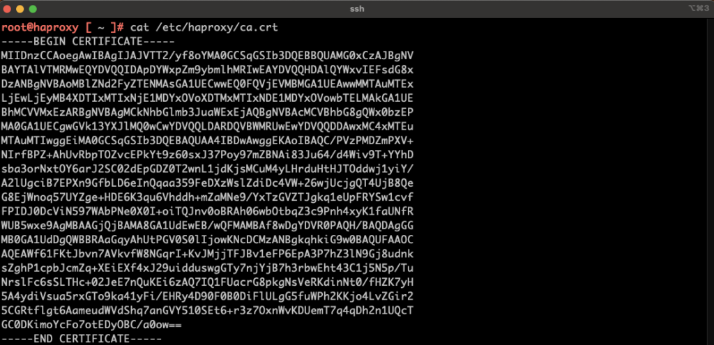 vSphere with Tanzu – deployment tutorial, VDS + HAProxy - vMattroman