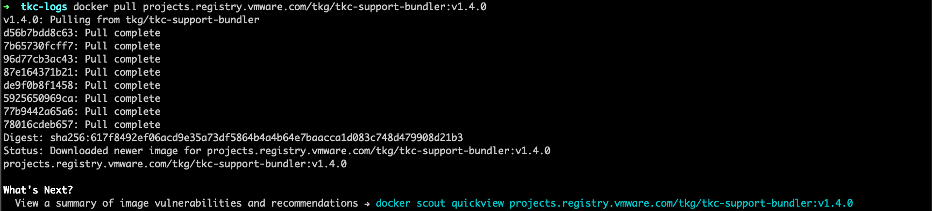 Collecting Diagnostic Log Bundle From A Tanzu Kubernetes Cluster